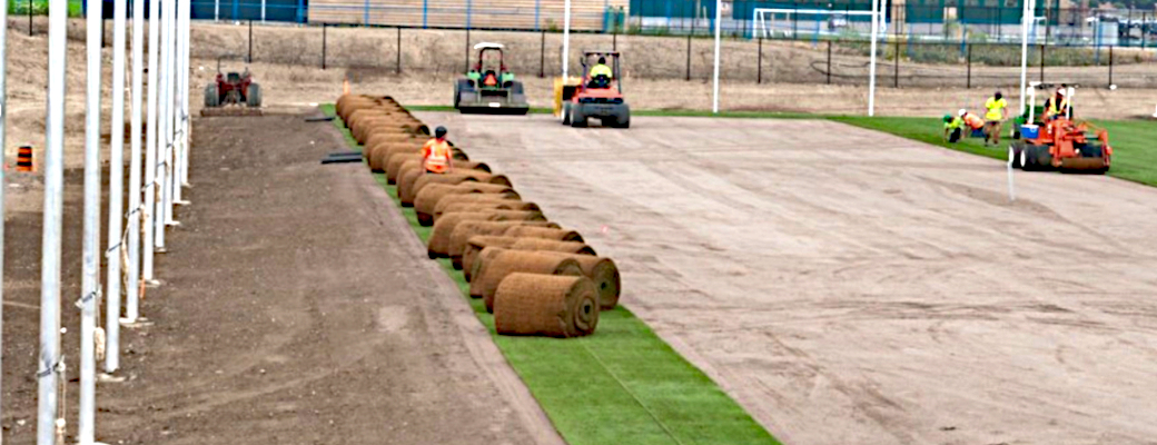 Engineered Sand Profile TFC: Washed Sod Install - Greenhorizons News