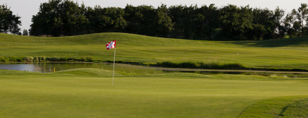 Bentgrass: The Mechanics of a Perfect Golf Green - Greenhorizons News