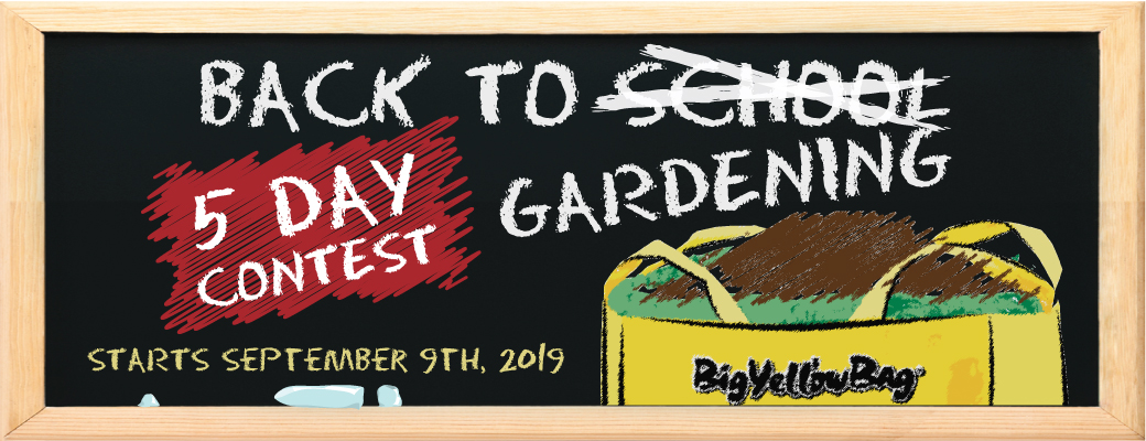 BigYellowBag's Back to Gardening Contest! - Greenhorizons News