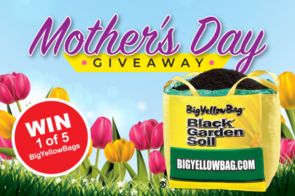 Mother s Day Giveaway With BigYellowBag Greenhorizons News